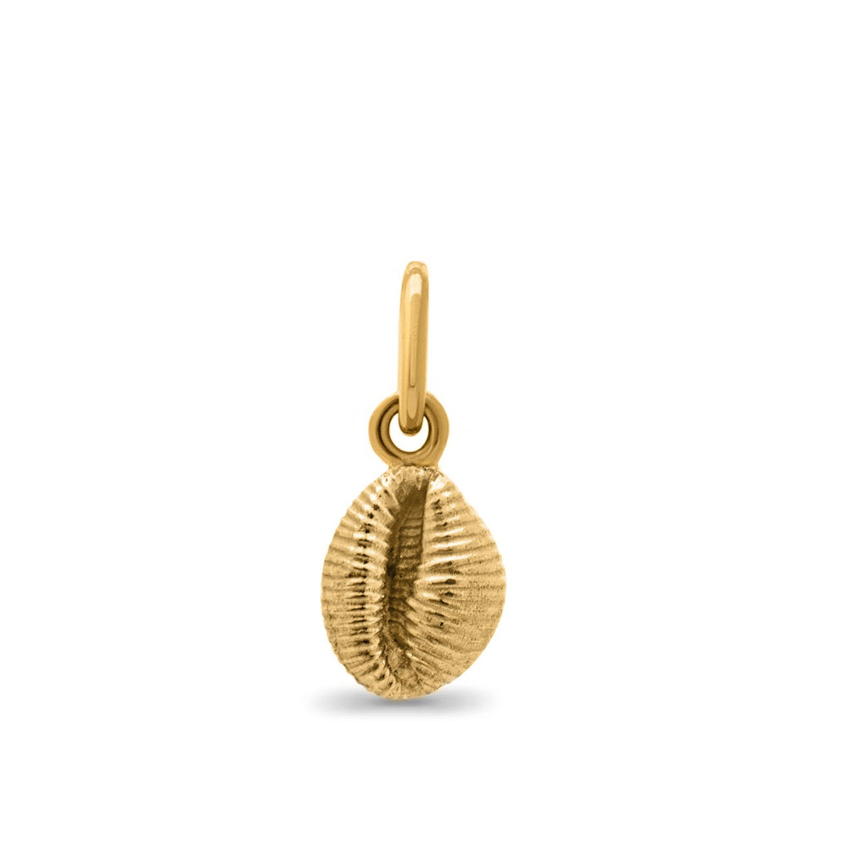 Small Gold Cowrie Shell Pendant - Greenaway Beach, Cornwall